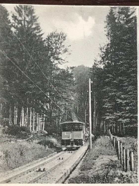 Zug / Zugerberg HOTEL FELSENEGG MIT SEILBAHN (ZUGERBERGBAHN) (Gebraucht) in Wald ZH für CHF 60 ...
