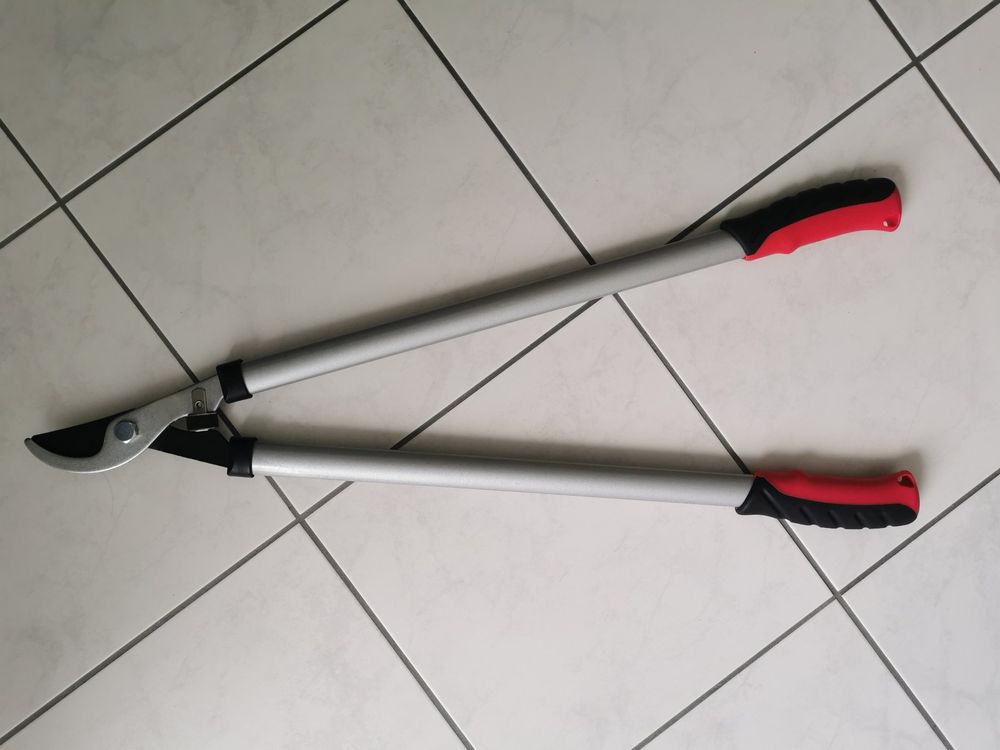 ASTSCHERE (Gebraucht) in Kriens für CHF 40 – mit Lieferung auf Ricardo ...