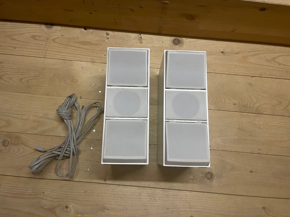 Bang & Olufsen BeoVox CX 100 ab CHF 1.-- (Gebraucht) in Rain für CHF 20 ...