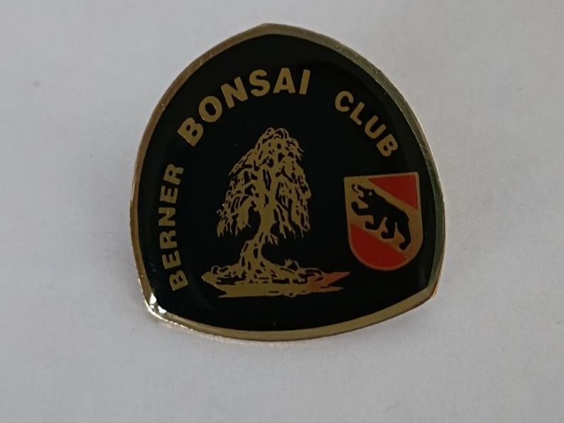 Pin Berner Bonsai Club | Kaufen auf Ricardo