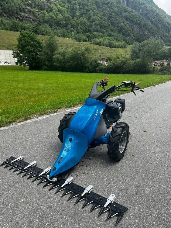BCS 630 WS Max EasyDrive (Gebraucht) in Chiggiogna für CHF 1810 – nur ...