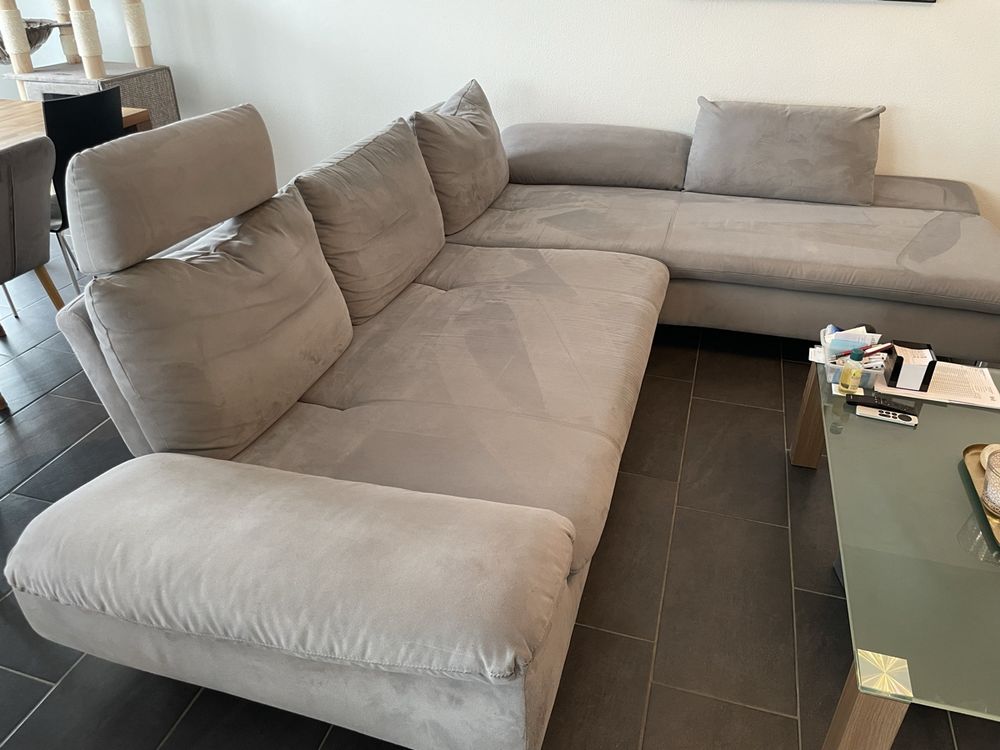 Ewald Schillig Sofa Reinigen