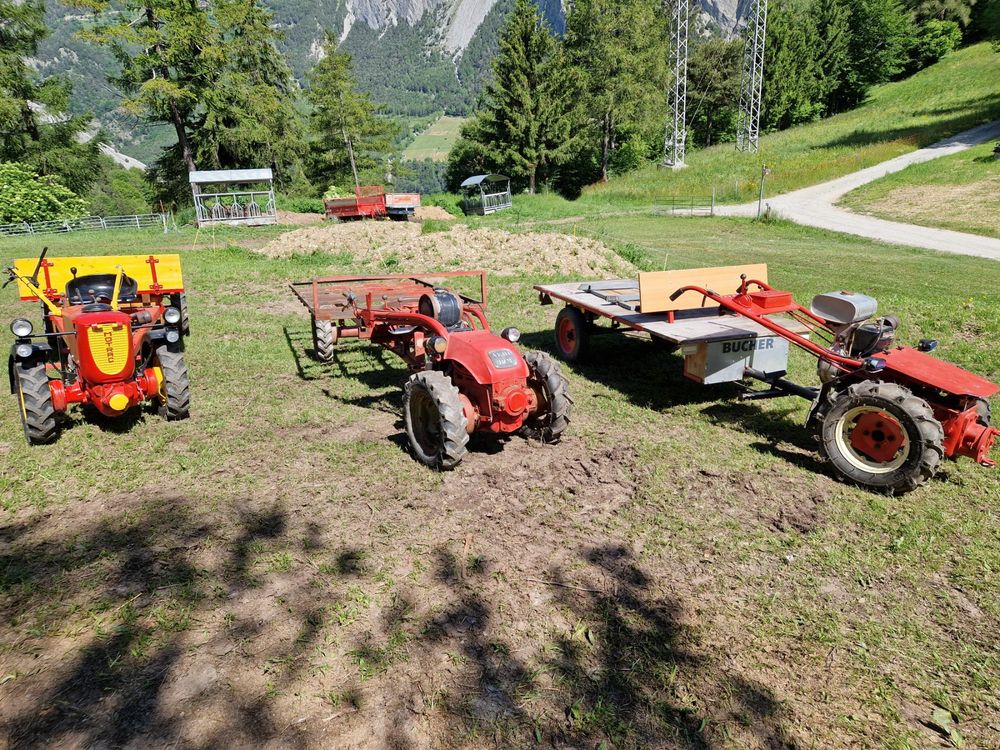 Monoaxe agricole Aebi AM70 (Gebraucht) in La Garde für CHF 800 – nur Abholung auf Ricardo kaufen