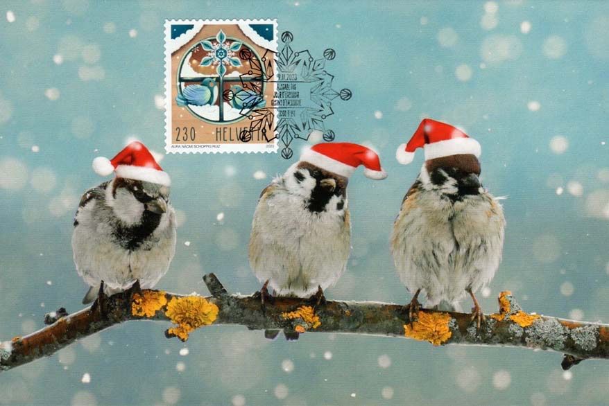 Maximumkarte Weihnachten 2023 - Vögel (Neu (gemäss Beschreibung)) in Dottikon für CHF 5 – mit ...