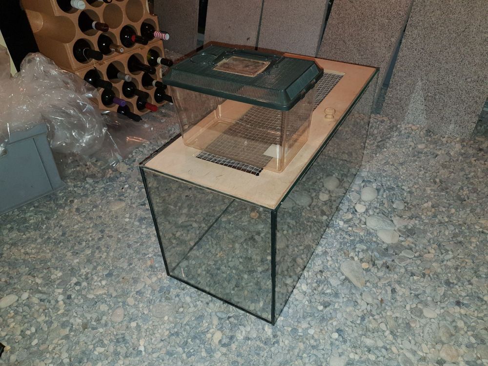 Terrarium inkl. Transportbox | Kaufen auf Ricardo