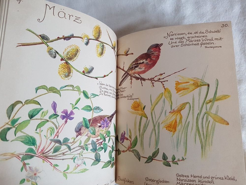 Das Tagebuch der Edith Holden, Vögel, Blumen, Insekten | Kaufen auf Ricardo