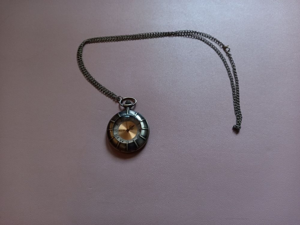 Taschenuhr im Retro-Stil Steampunk - Montre de Poche (Neuf (Voir description)) à Lausanne pour ...