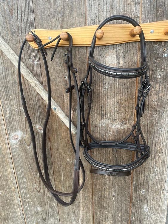 Englischer Zaum | Kaufen auf Ricardo
