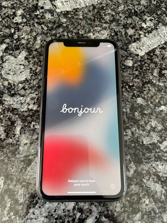 Iphone 11 256 GB schwarz (Gebraucht) in Deitingen für CHF 315 – mit Lieferung auf Ricardo kaufen