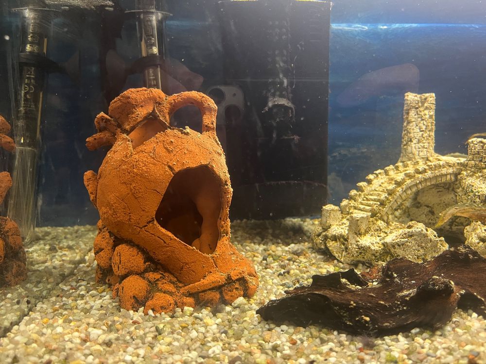 Aquarium 40 Liter | Kaufen auf Ricardo