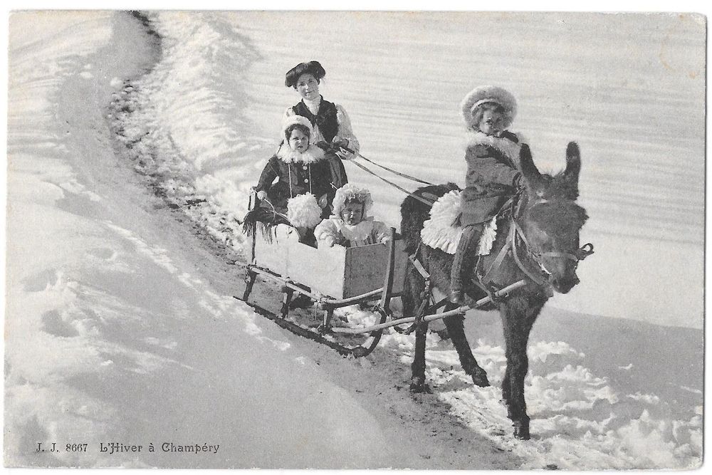 Champéry im Winter Schlitten von Esel gezogen (Gebraucht) in Olten für ...