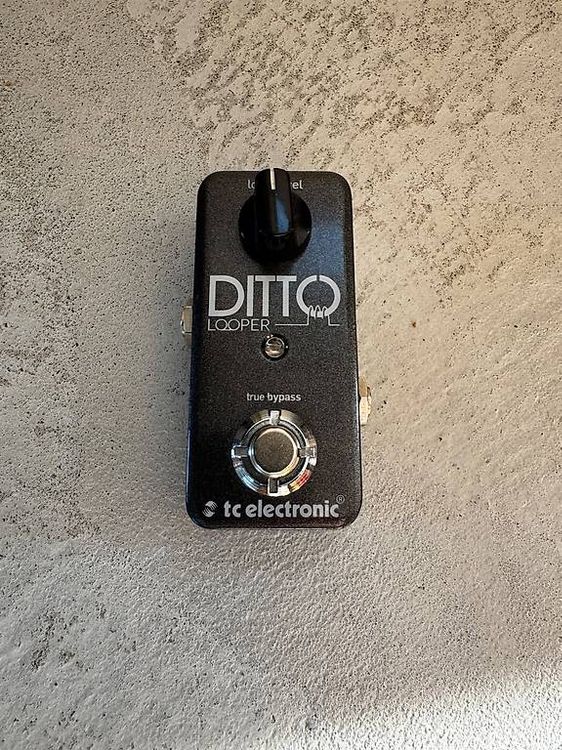 TC electronic - Ditto looper pedal (Gebraucht) in Zürich für CHF 50 ...
