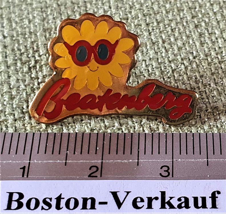 B894 - Pin Beatenberg Logo Emblem Sonne (Gebraucht) in Reinach BL für ...
