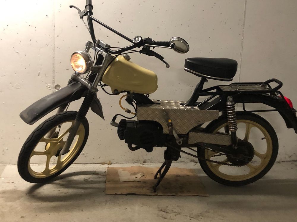 Pony Cilo 521 | Acheter sur Ricardo