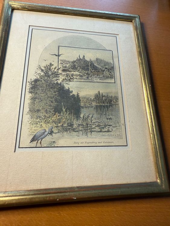 Regensberg, Burg alt mit Katzensee, Orell Füssli & Co (Gebraucht) in ...