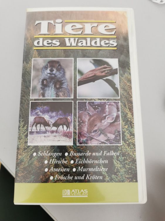 Tiere des Waldes VHS Atlas Verlag, 55 Minuten Farbe (Gebraucht) in Gockhausen für CHF 7 – mit ...