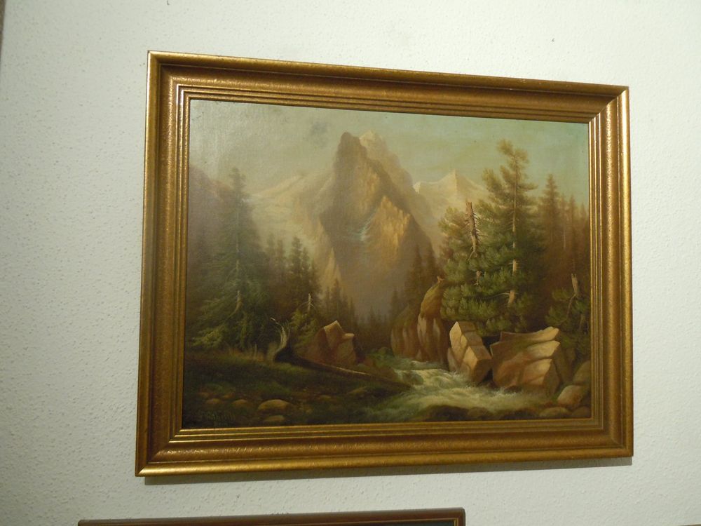 Well- und Wetterhorn von G. Wüthrich geb. 1870 (Gebraucht) in fehren ...