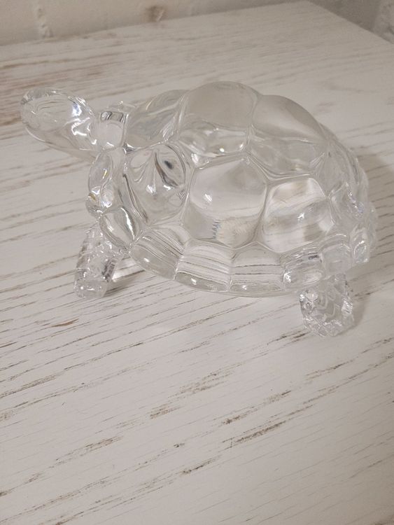 Schildkröte | Kaufen auf Ricardo