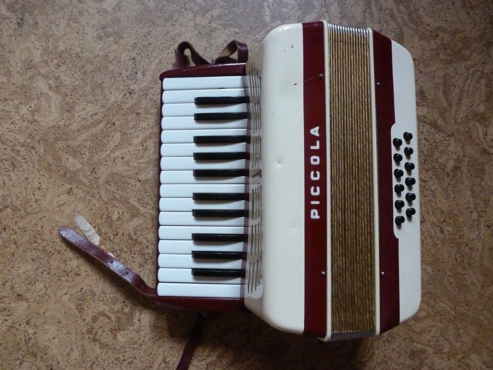 Ziehharmonika | Kaufen auf Ricardo