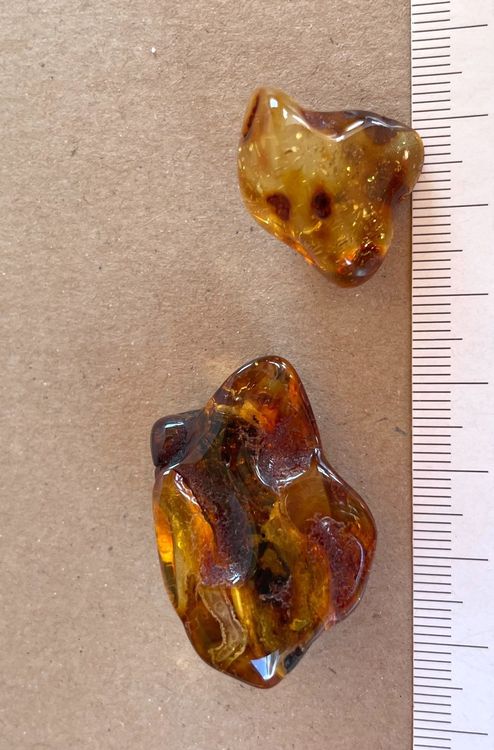 Bernstein Amber x top Unikate zum Sammeln interessant | Kaufen auf Ricardo