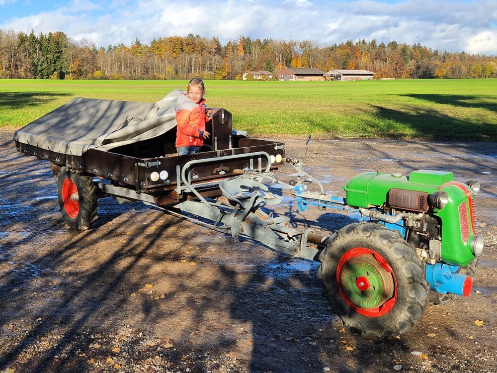 Einachser Rapid S-Special | Kaufen auf Ricardo