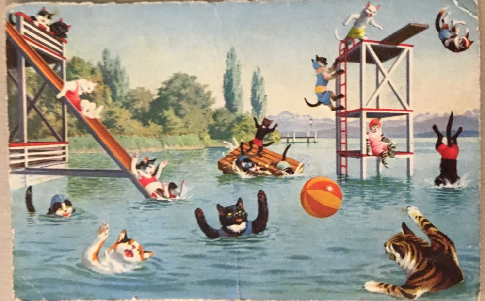 Max Künzli, Katzen, Badeanstalt, Schwimmen, Humor (Gebraucht) in ...
