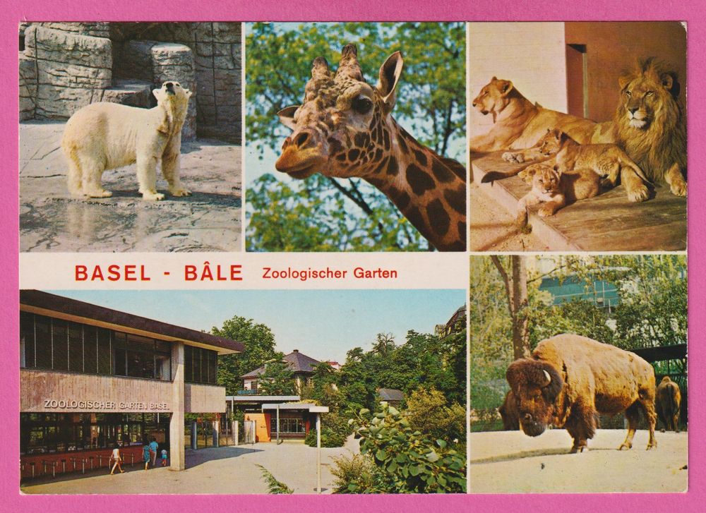 Basel Zoologischer Garten 5-Bild Karte (Gebraucht) in Einsiedeln für CHF 1 – mit Lieferung auf ...