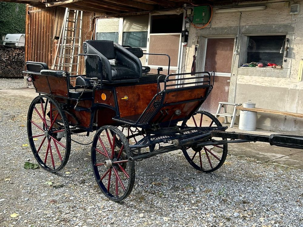 Pferdekutsche, Bregg, Kutsche, Break (Gebraucht) in Wagen für CHF 450 – nur Abholung auf Ricardo ...