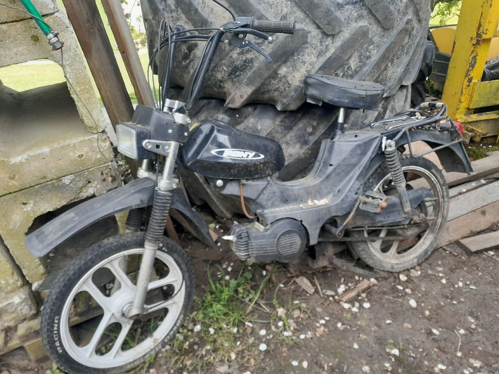 Pony Cross | Kaufen auf Ricardo