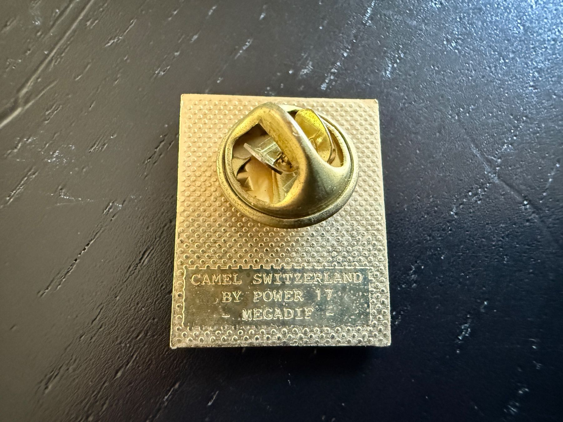 Camel Pin/Anstecker - Seltenes Sammlerstück aus der Schweiz (Gebraucht ...