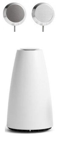 Bang & Olufsen BeoLab 14 Abdeckungen Cover (Neu (gemäss Beschreibung ...