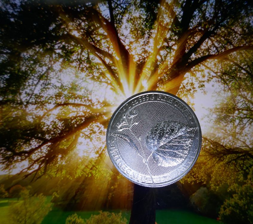 1 Silberunze 9999 LINDEN LEAF/Germania Mint 2022 rar (Neu und originalverpackt) in Neuwilen für ...