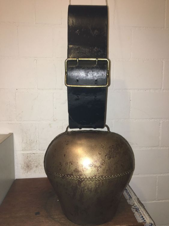 Neuw. Appenzeller-Treichel ab 1.00 Fr. (Neu (gemäss Beschreibung)) in ...