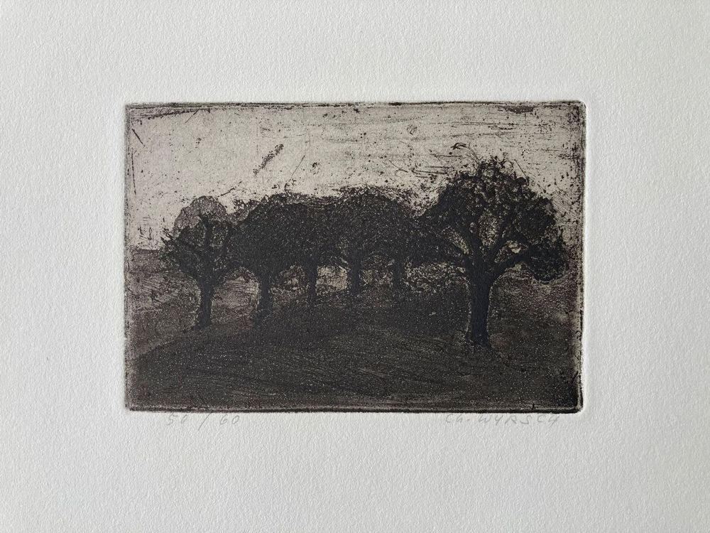 Charles Wyrsch, handsigniert/nummeriert (Gebraucht) in Rain für CHF 49 – mit Lieferung auf ...