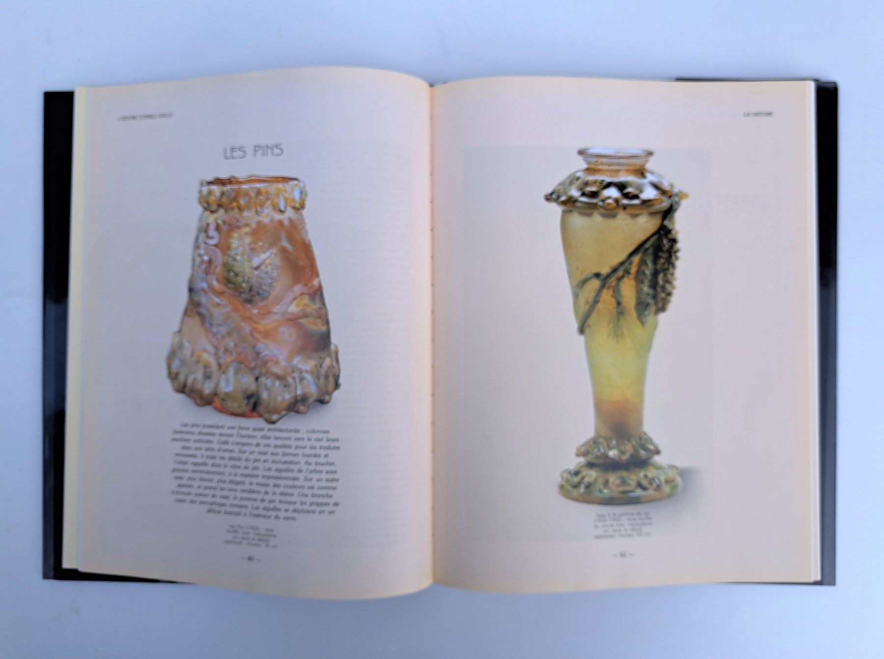 Emile Gallé Buch von Tim Newark, Glas Vase Jugendstil (Gebraucht) in ...