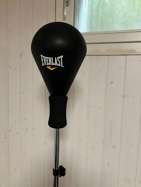 Everlast Reflex-Punchingball inklusive 2 Paar Boxhandschuhe | Kaufen ...