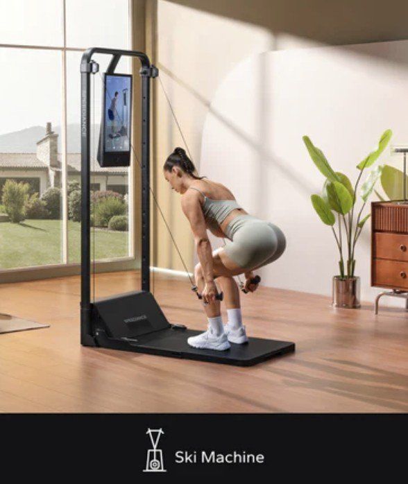 Speediance Gym Monster 2 Family Plus 2.0 wie neu (Neu (gemäss ...