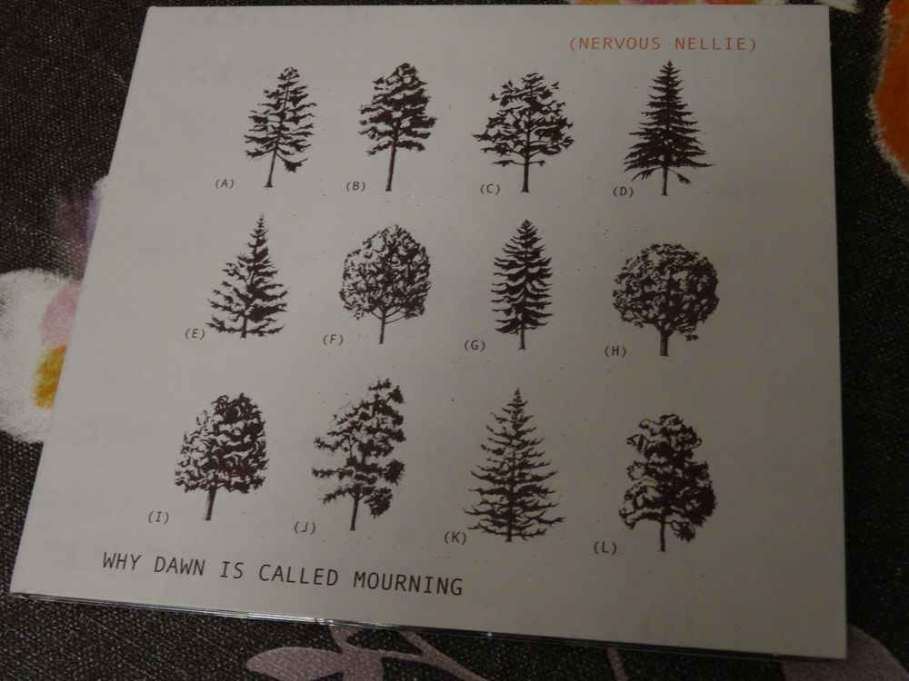 Nervous Nellie - Why dawn is called mourning CD | Kaufen auf Ricardo
