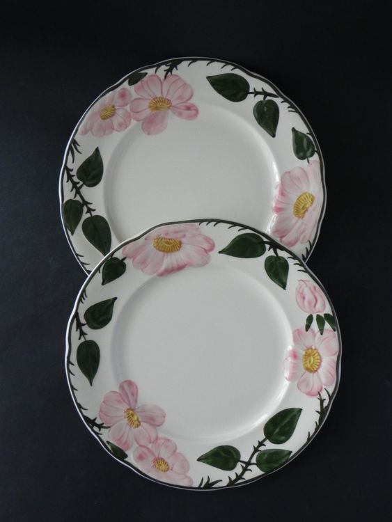 2 Dessertteller * WILD ROSE * von Villeroy & Boch (Neu (gemäss Beschreibung)) in Zürich für CHF ...