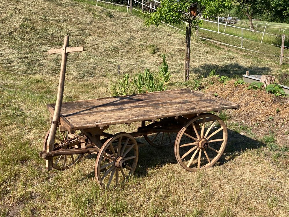 Brückenwagen / Handkarren (Gebraucht) in Neuenhof für CHF 85 – nur ...