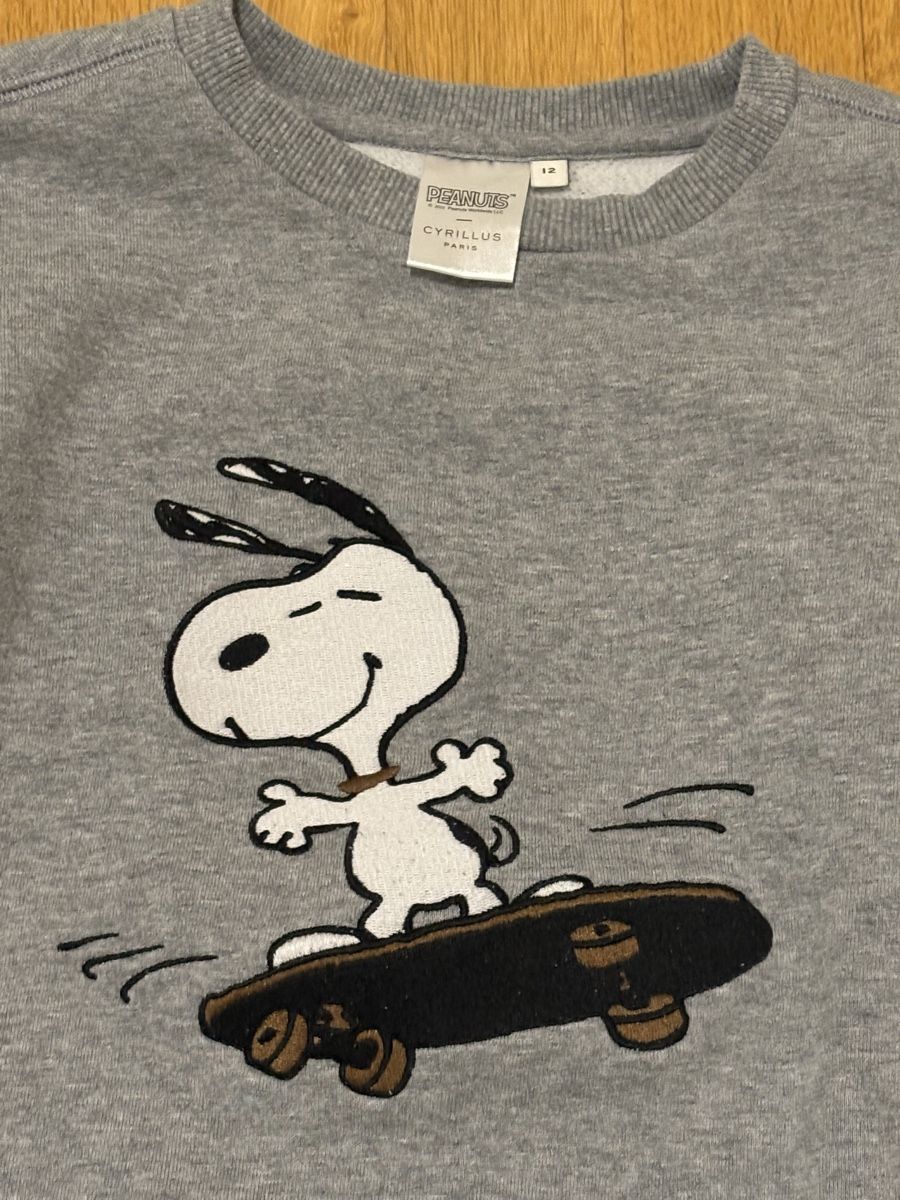 Pull Snoopy (D'occasion) à la tour de peilz pour CHF 9 – avec livraison ...
