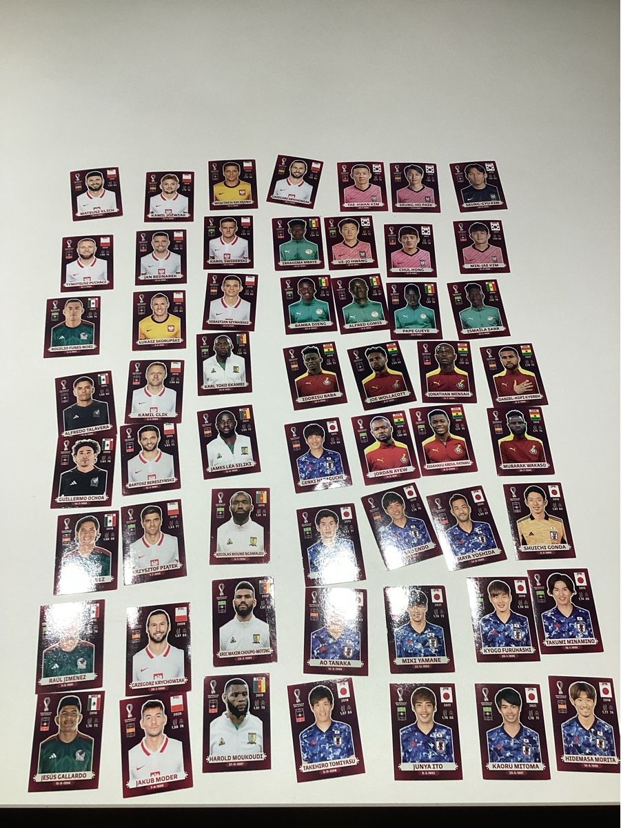 Panini WM 2022 Sticker Tauschkarten Sammlung 56 Stück (Neu (gemäss ...