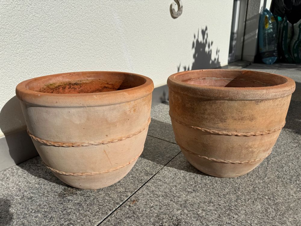 PFLANZ-ZEIT!! Wir haben 2Töpfe abzugeben (Gebraucht) in Pfaffnau für ...