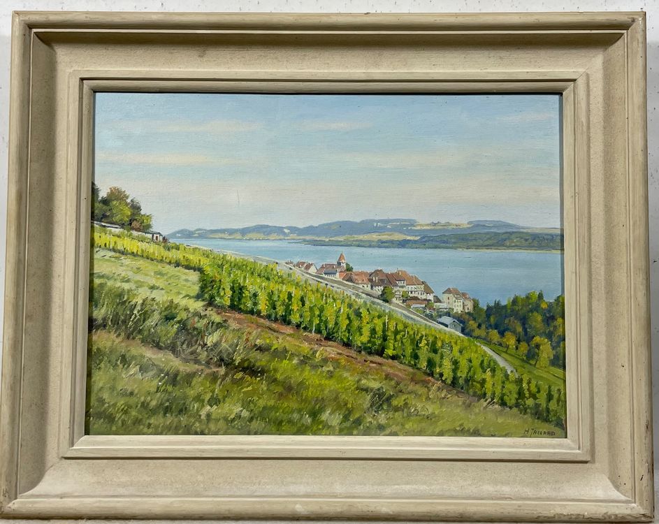 Faszinierendes Landschaft Gemälde unleserlich Signiert | Kaufen auf Ricardo