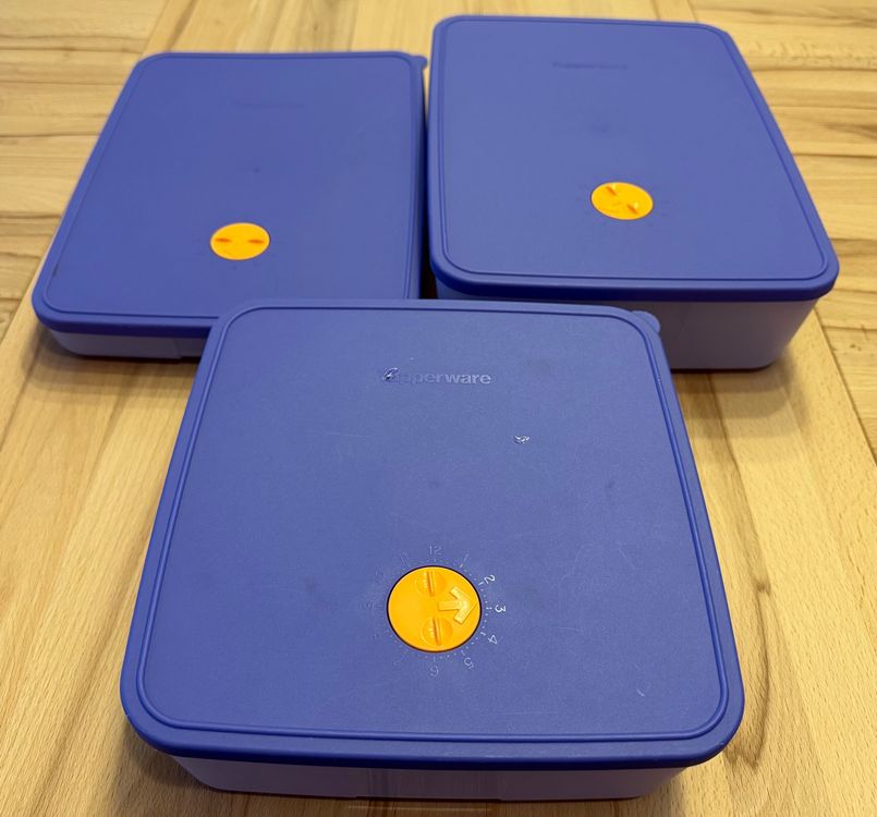 Tupperware Gefrier-/Vorratsbehälter mit Datumsangabe (Gebraucht) in ...