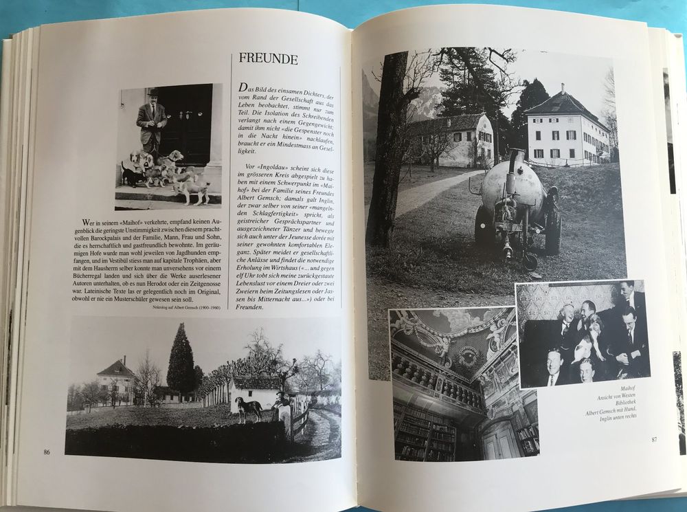 MEINRAD INGLIN – SEINE WELT IN BILDERN | Kaufen auf Ricardo