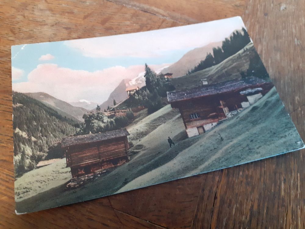 Auf der ALP | Kaufen auf Ricardo