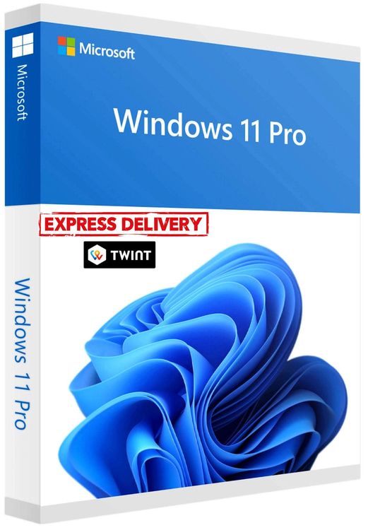 Windows 11 Pro | Office Pro Plus | Project | Visio Pro 2021 (Gebraucht ...