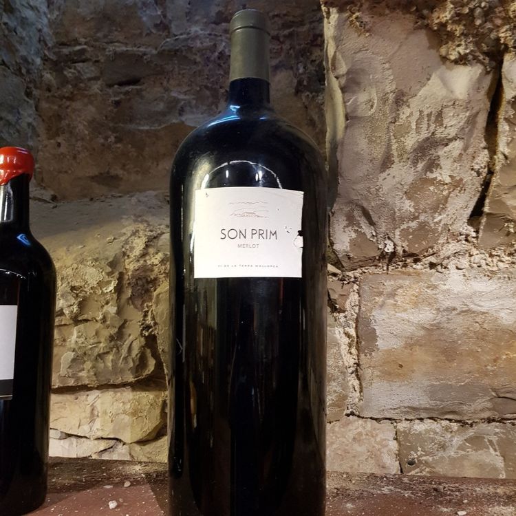 12 LITER!!! SON PRIM Merlot 12 Lt (Neu und originalverpackt) in Zumikon ...