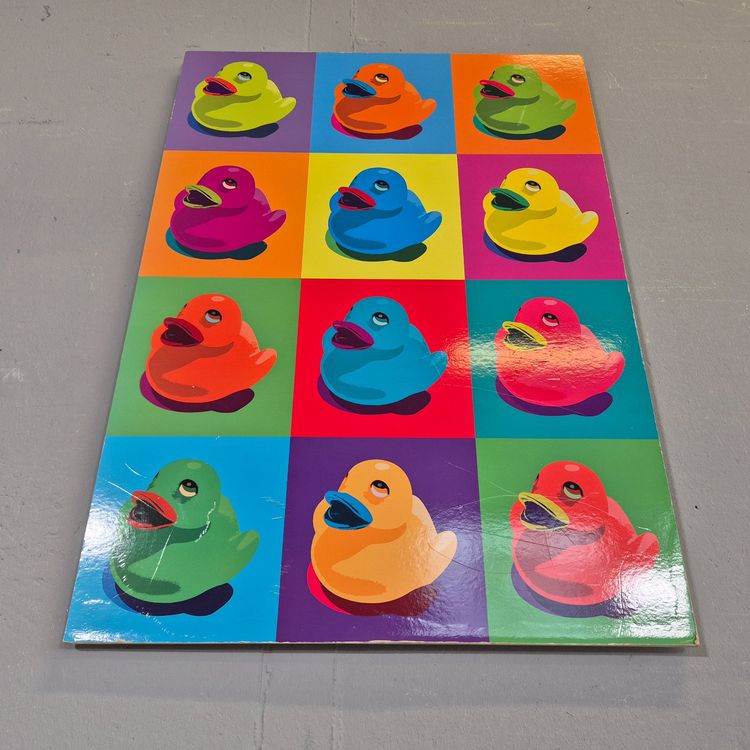 IKEA Knista Pop Art Bild: Ducks by Clara Wells (Gebraucht) in Nottwil ...